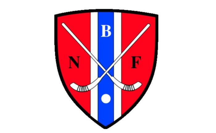 Ministry of Culture supports female bandy! - WORLDBANDY.COM